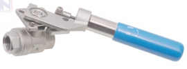 Ball Valve, Dead Man Spring Return Handle, 316 Stainless Steel, 2-Pc FF ...