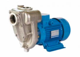 GMP, Self Priming Centrifugal Pump, AISI 316 Stainless Steel, B2KQ-A/X ...